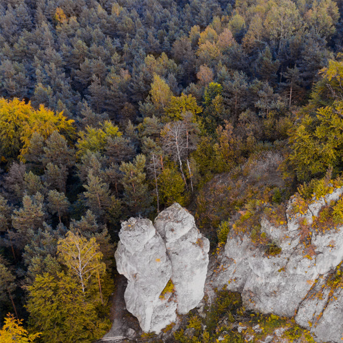 Forest Ridge – Textilium