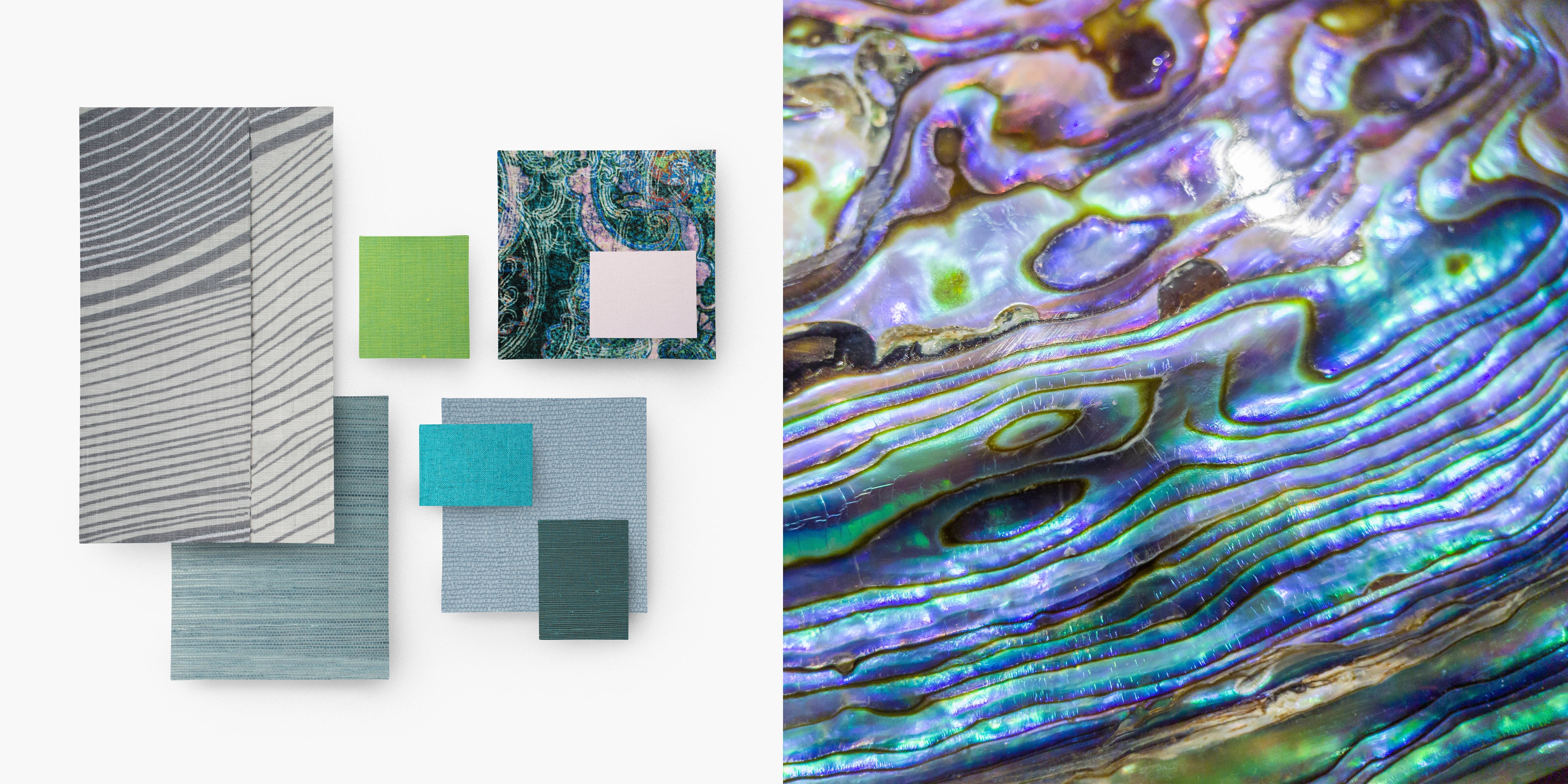 Paua Shell – Textilium